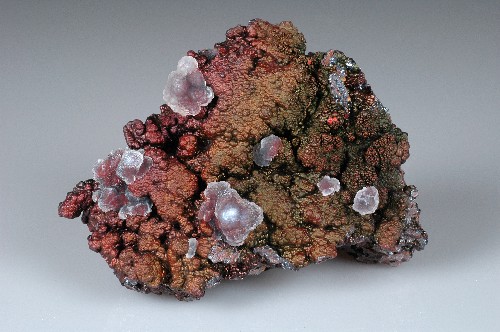 Spathfluor : Afrique -Vergenoeg