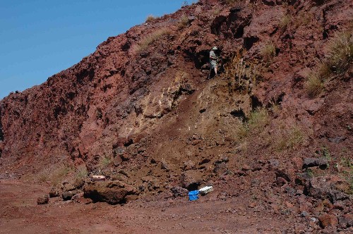 Spathfluor : Afrique -Vergenoeg